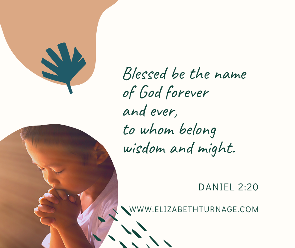 daniel 220 | Elizabeth Turnage