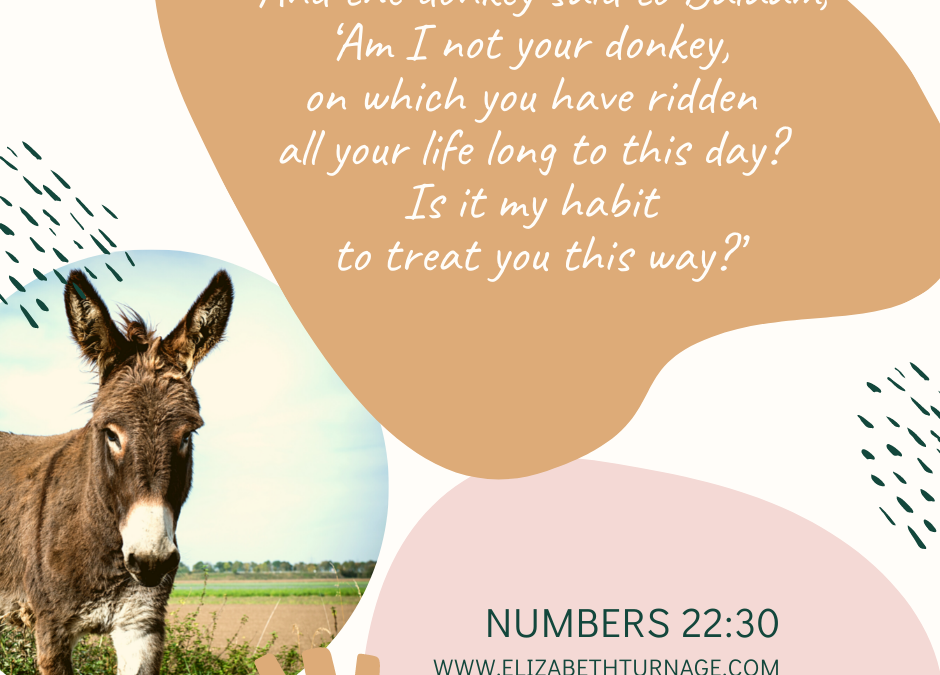 Elizabeth Reynolds Turnage Life and Legacy Coach