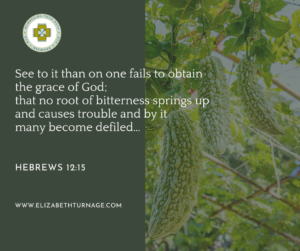 HEBREWS 12_15 | Elizabeth Turnage